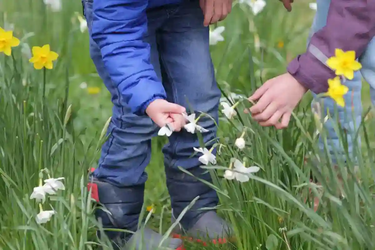 Wild Walks and Local Flavours: Your Late June 2026 Guide to the Heart ...